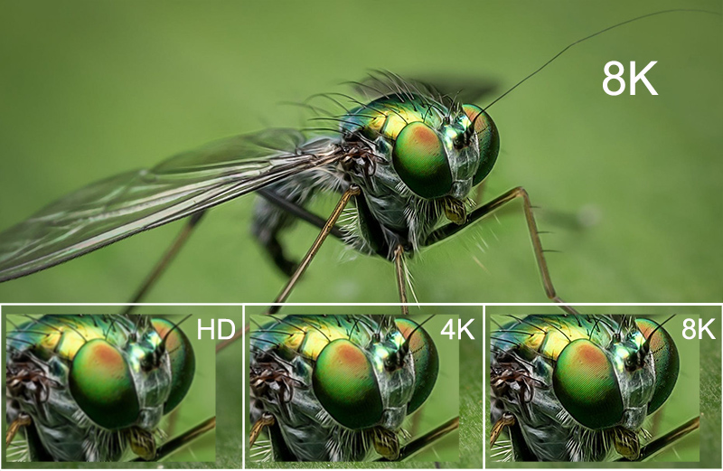Difference Between 4k And 8k Television